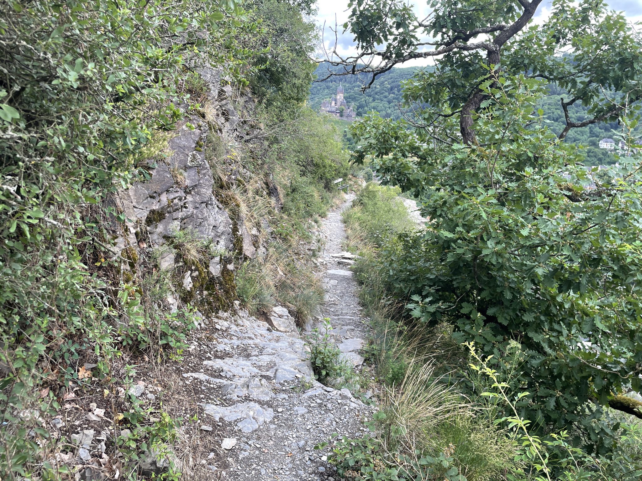 Wanderlust & Aussicht: Kurzwanderung in Cochem zum Pinnerkreuz ...